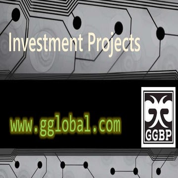 Investment projects | PPTX