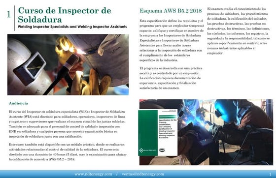 TFM Infographic información técnica de TF; | PPT