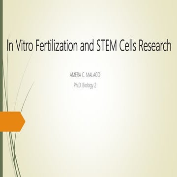 In Vitro Fertilization and STEM Cells Research new.pptx