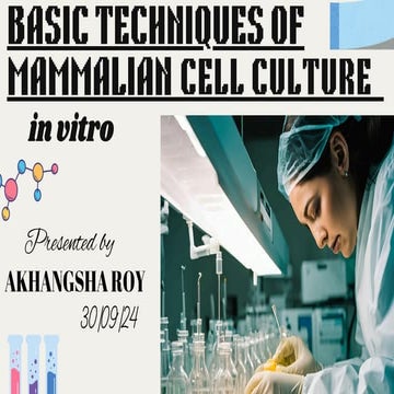An Elaborative Study about In Vitro Mammalian Cell Culture.pdf