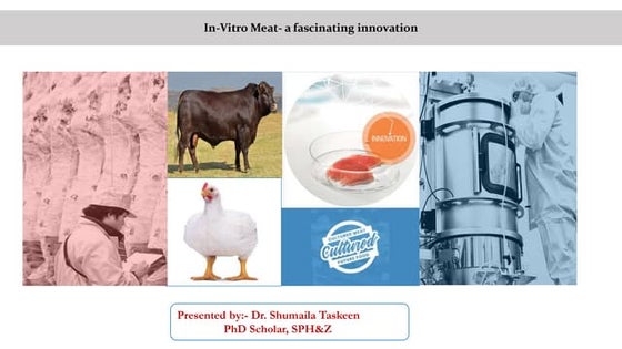 Lab - cultured meat | PPTX | Vegetarian Diets | Food & Drink