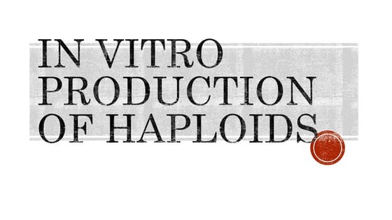 Haploid Production - Techniques, Application & Problem | PPTX