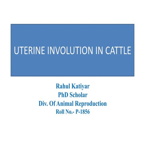 Uterine Involution in cattle | PPTX
