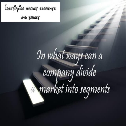 In what ways can a company divide a market in to segments | PDF