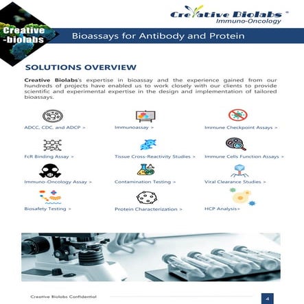Process Development | PDF