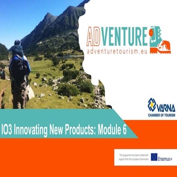 02 AVIP Module 6 - Building a Marketing Plan | PPT