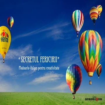 Ioana manea best marketing 2017 pentru site | PDF