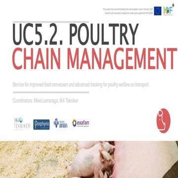 Poultry chain management | PPTX | Agriculture | Industries