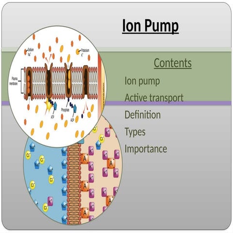 Calcium atpase pumps | PPTX