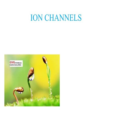 Ion Channels.pptx