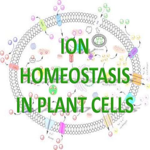 Ion homeostasis in plant cells | PPTX