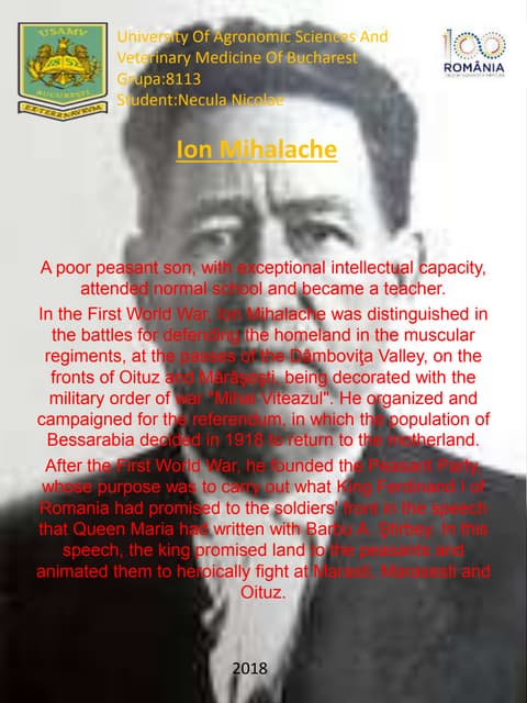 Proiect Ion Mihalache | PDF