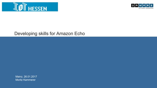 Amazon Echo Infographic via Experian | PDF