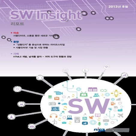 NIPA SW Insight Report '13.08