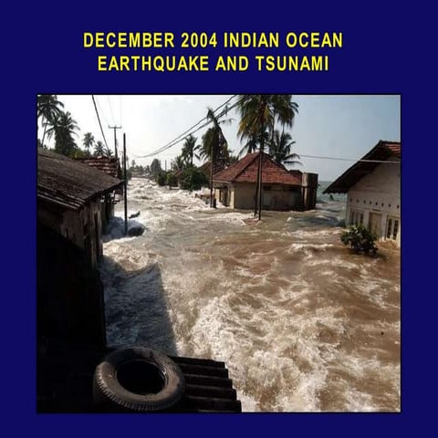 2004 indian ocean earthquake and tsunami