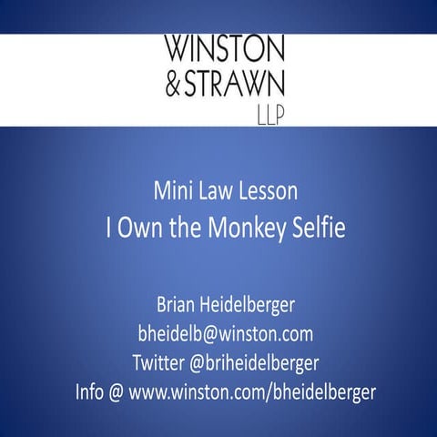 The Monkey Selfie and Basics of Copyright Ownership | PPT