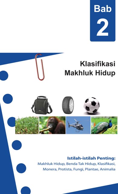 Lks biologi kelas 10 | DOCX