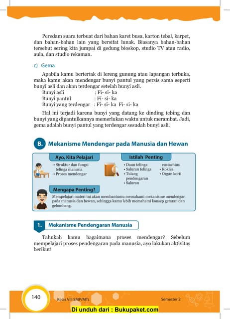 BAGIAN TELINGA-FUNGSI-DAN PROSES MENDENGAR.pptx