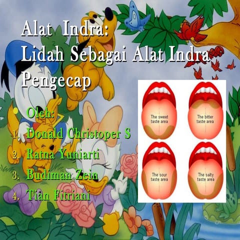 Ipa alat indra pengecap kls 9 | PPT