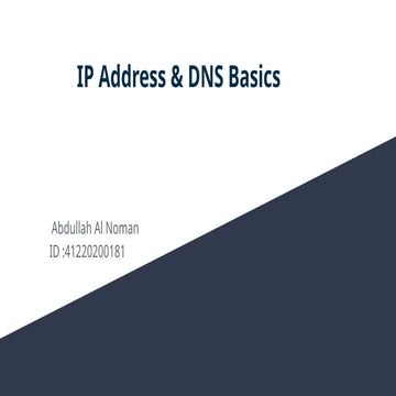IP Address & DNS Basics 3bkjbflkr1.1pptx | PPT