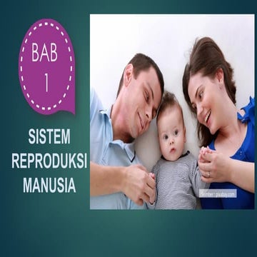 materi ipa kelas 9 bab 1 sistem reproduksi .pptx