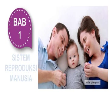 Bab 3.1 Tekanan Pada Zat Padat IPA Kelas 9 Kurikulum Merdeka SMP Ibrahimy 1 Sukorejo | PPTX