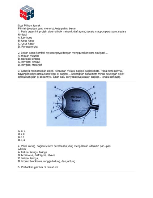 Sk pemenang-ksn-sd-tingkat-nasional-2020 | PDF