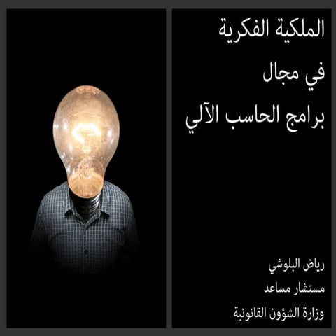 Intellectual Property and Computer Software | PDF