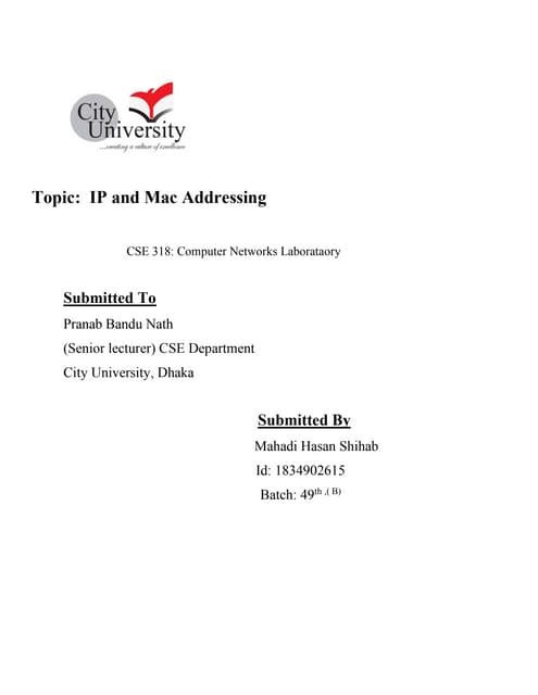 Ip and mac adress | PDF