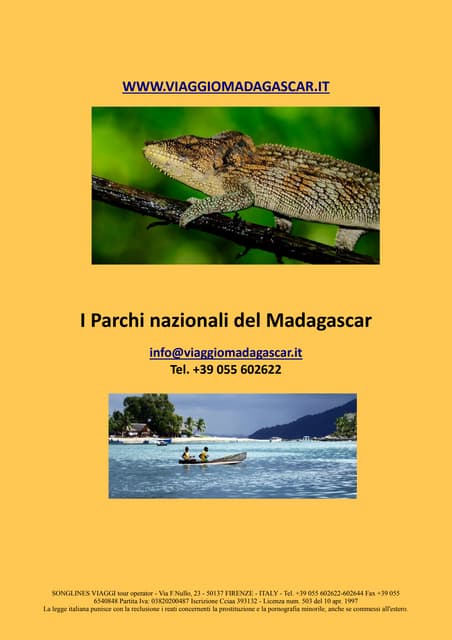 Volantino Madagascar Info | PDF
