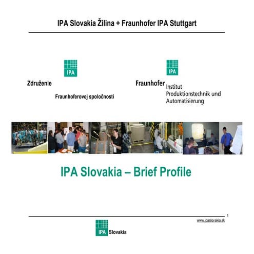 IPA Slovakia En | PDF
