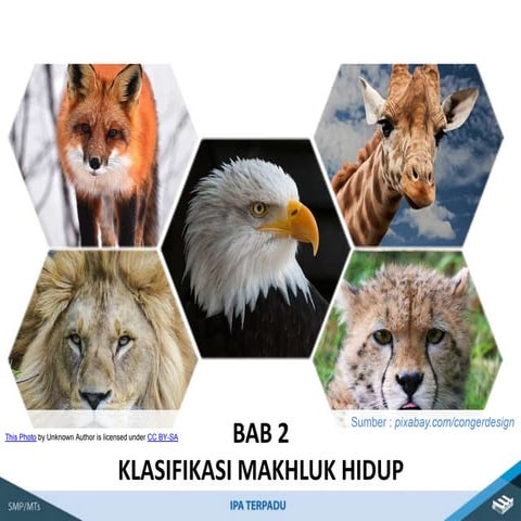 IPA Kelas 7 Bab 2 Klasifikasi Makhluk Hidup.pptx.pdf