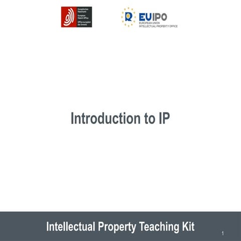 IP_Basics_EN_10_201oko iojioj ojijj7.pptx