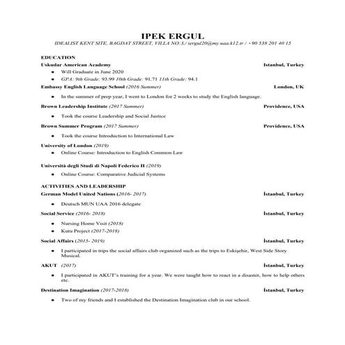 Ipek Ergul Cv | PDF