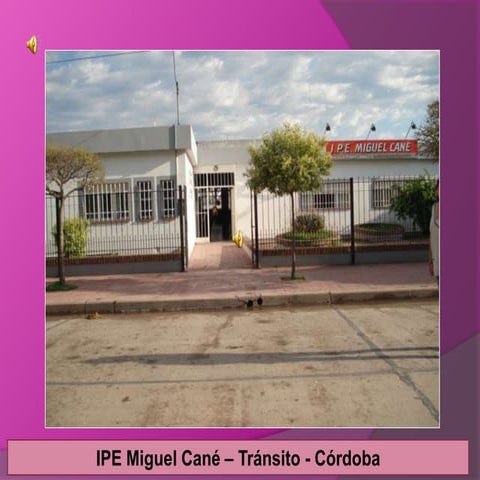 Ipe miguel cané | PPTX