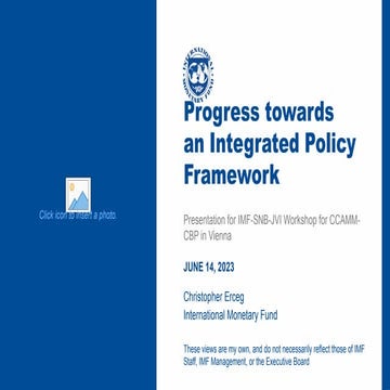 Integrated Policy Framework Presentation.pptx