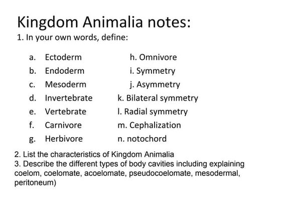 01 kingdom animalia | PPT