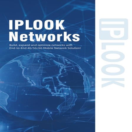 IPLOOK Networks Company Brochure 2025.09
