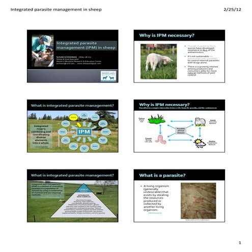 IPM | PDF | Digestive Disorders | Diseases and Conditions