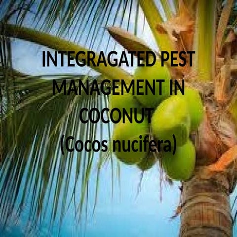 Insect pests of Cococnut | PDF