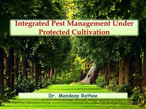 Insect pest of cole crops and their management | PPT