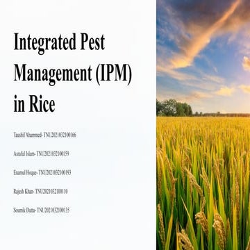 Integrated Pest Management(IPM) on Rice.pptx