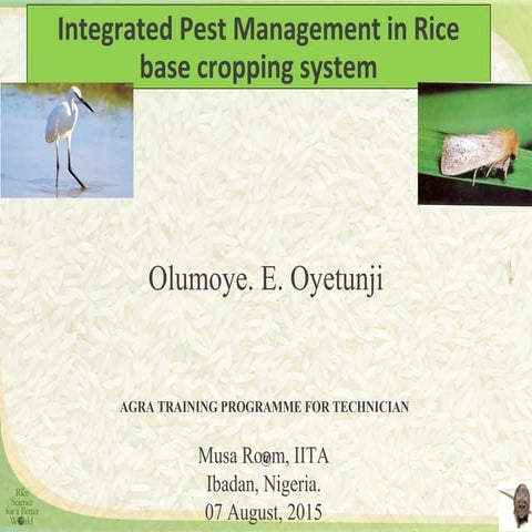 Integrated Pest management in rice base cropping system | PPT