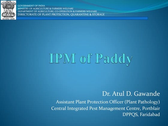 Rice case worm | PPTX | Agriculture | Industries