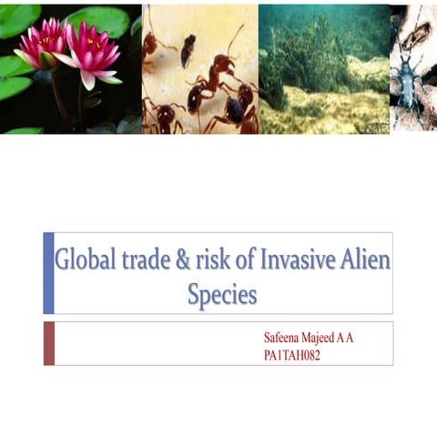 Global trade and Invasive insects | PPTX