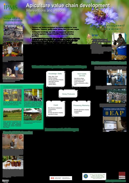 Fruits value chain development: interventions and lessons | PDF