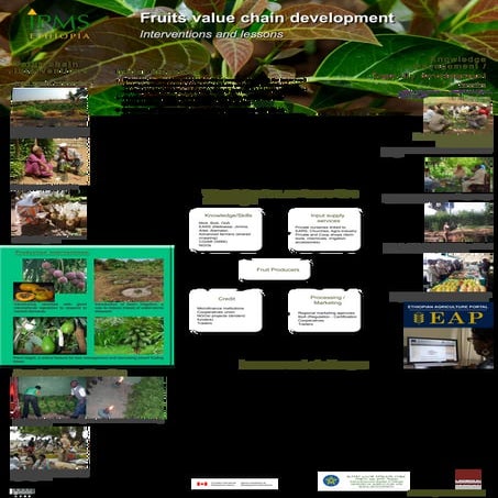 Fruits value chain development: interventions and lessons | PDF