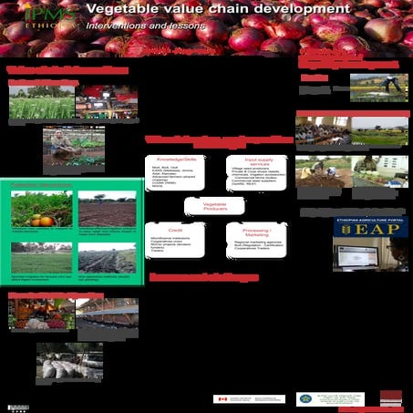 Vegetable value chain development: interventions and lessons | PDF