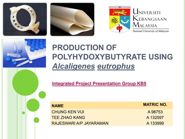 bioplastics by microorganisms Polyhydroxyalkanoates And ...