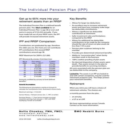 Ipp Quickinfo 2009 | PDF